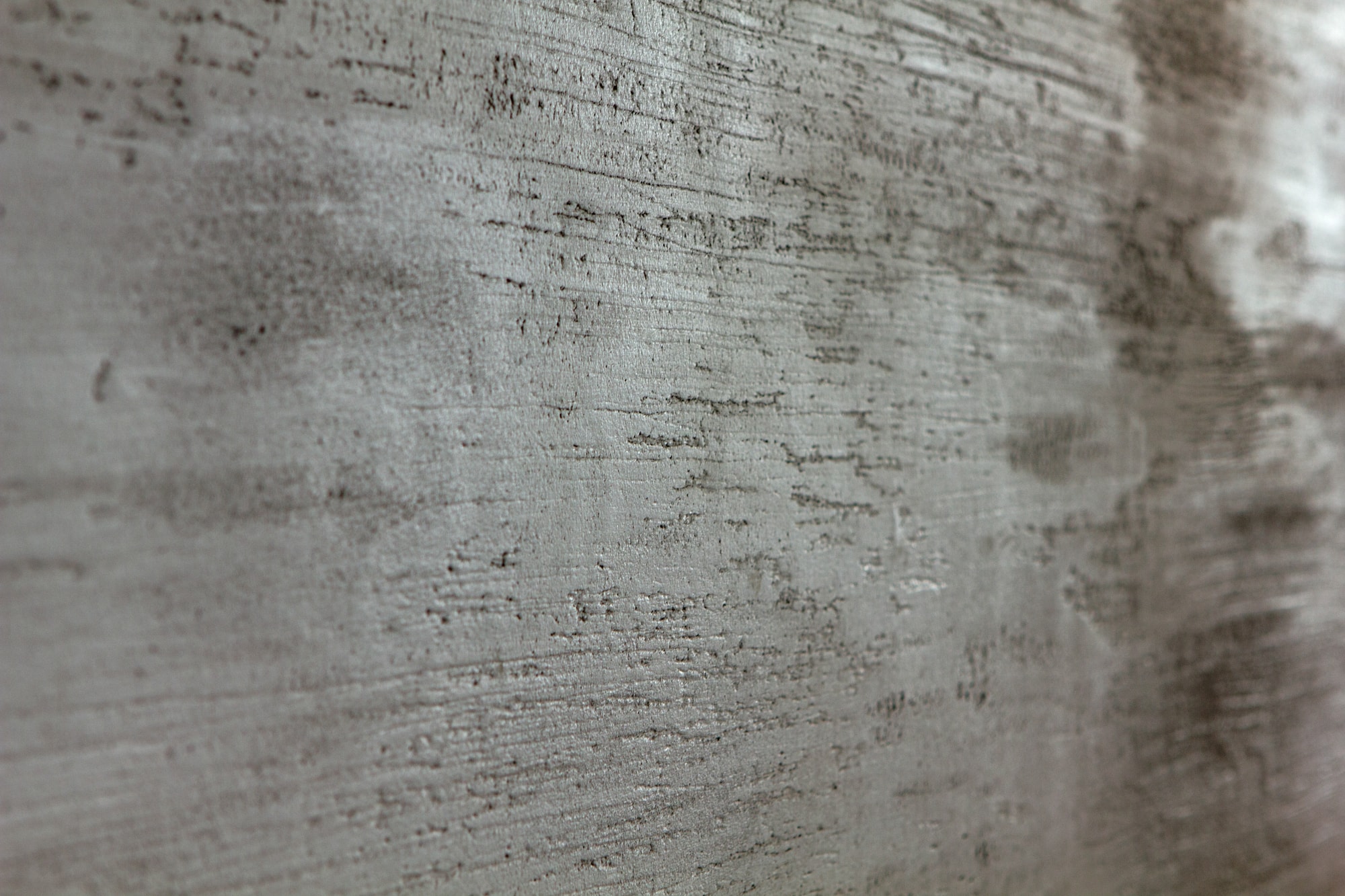 Viola Interior & Design